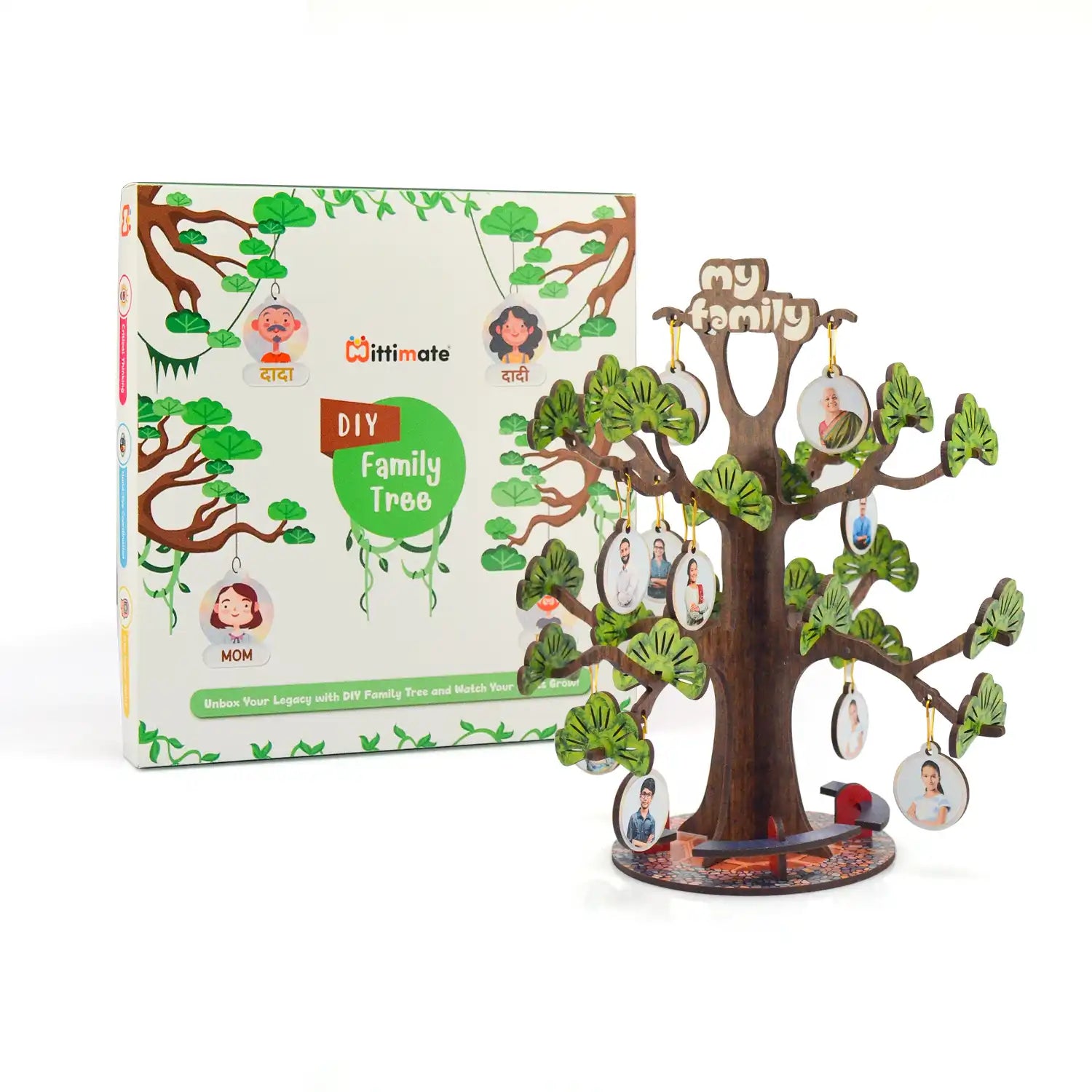 DIY Family Tree For Kids with Model Kit I 8 to 10 Year Kid – Mittimate